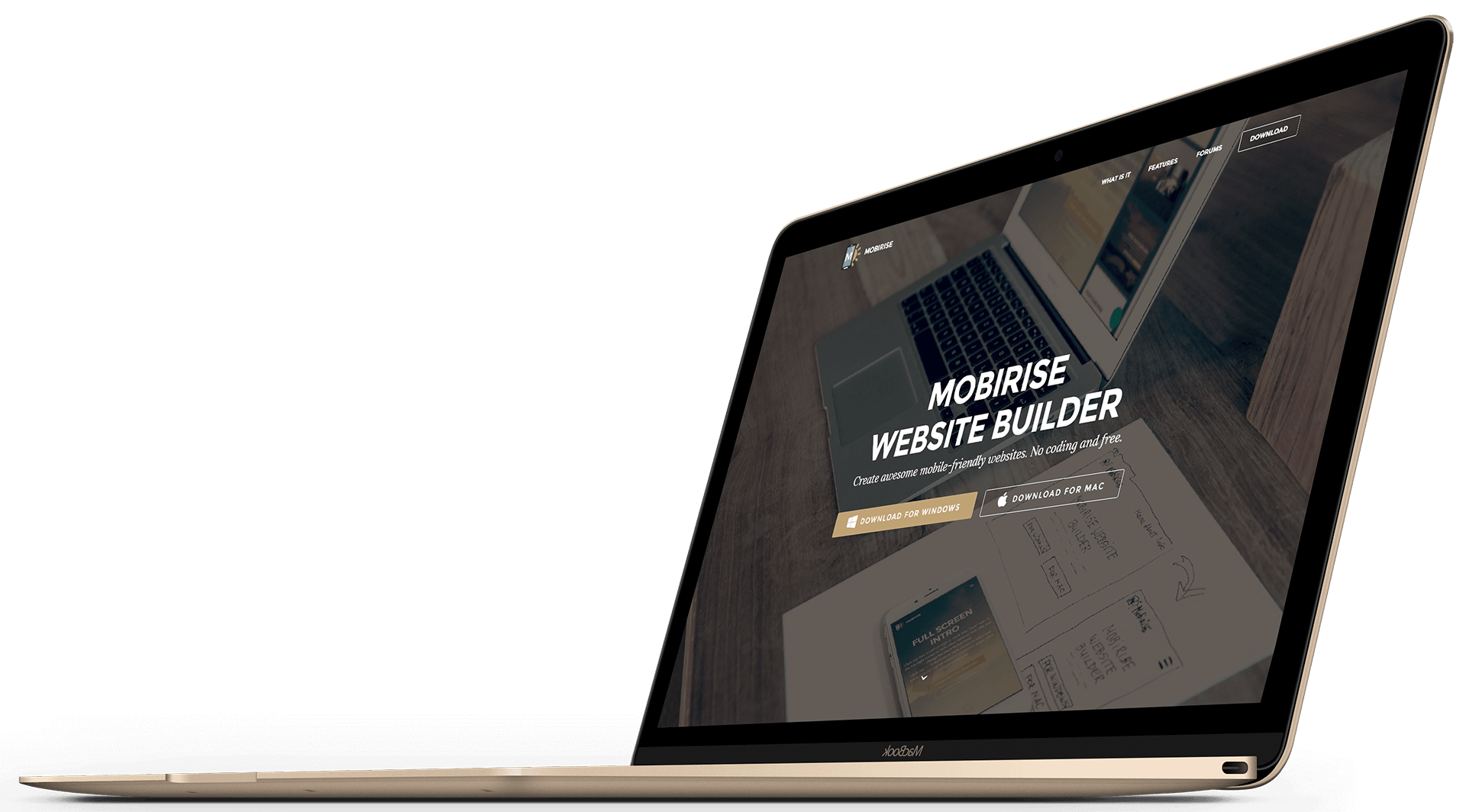 Newsletter interno OPDEA